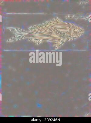 Bream. Reimagined by Gibon. Classic art with a modern twist reimagined ...