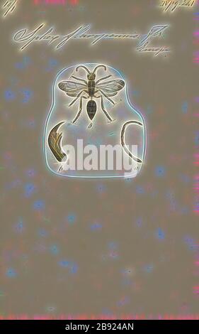 Wasps of the genus Sphex (commonly known as digger wasps) are ...