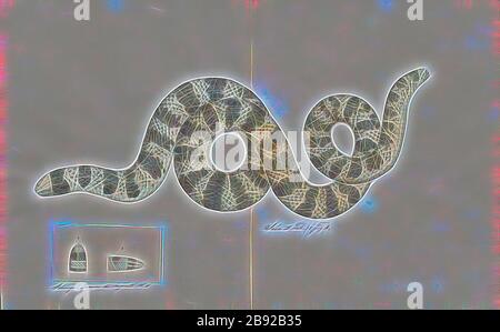 Pipe snake (Anilius scytale scytale) in leaf litter, French Guiana ...