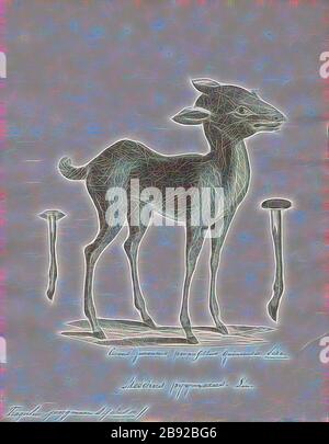 Tragulus pygmaeus, Print, Tragulus is a genus of even-toed ungulates in ...