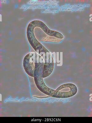 Copperhead is a species of venomous snake endemic to Eastern North ...