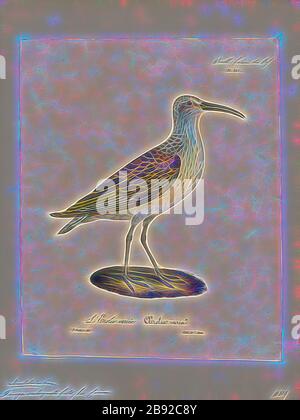 Tringa subarquata, Print, Tringa is a genus of waders, containing the ...