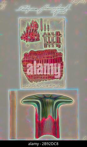 Tubipora chamissonis, Print, Tubipora is a genus of soft coral. It is ...