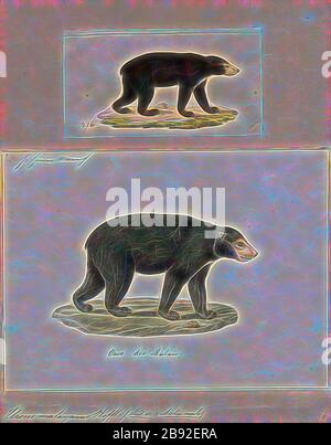 sun bear is a species occurring in tropical forest habitats of ...