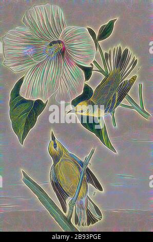 Blue winged yellow warbler. From "The Birds of America", 1827-1838 ...