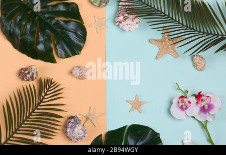 tropical style life with shells and fruits Stock Photo - Alamy