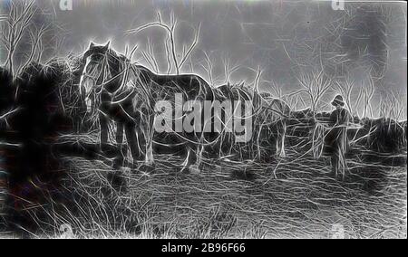 Negative - Mittyack, Victoria, circa 1926, A team of horses pulling a ...