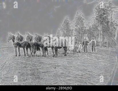 Negative - Hopetoun District, Victoria, circa 1895, Charlie Poulton and ...
