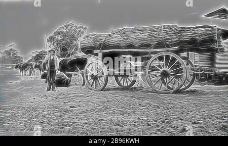 Negative - Sandford, Victoria, circa 1925, A 'Ruston' threshing machine ...