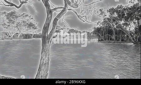 Negative - Lake Hindmarsh, Victoria, 1920, The Wimmera River flowing ...