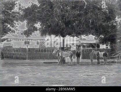 Negative - Bendigo, Victoria, 1890, Featherstone's Livery and Letting ...