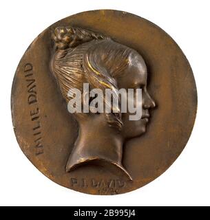 David d'Angers (1788-1856). Bronze, sand cast iron. Nineteenth century ...