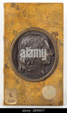 Portrait of Dominique-Jean, baron Larrey (1766-1842), military surgeon ...