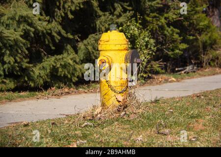 yellow water main fire hydrant indicator road sign county londonderry ...