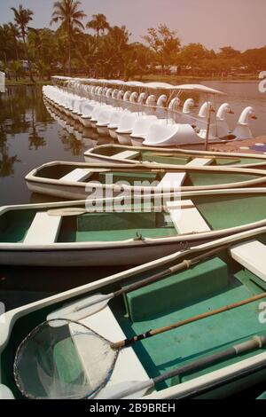Outdoor green rowboat and white swan boats Style for relaxation on the ...