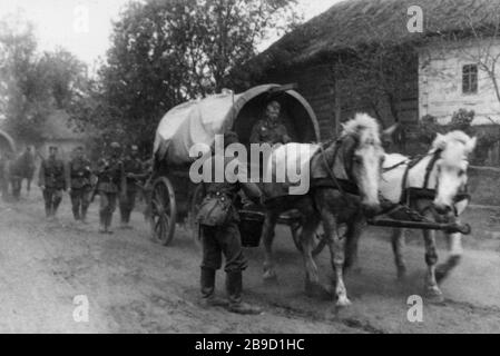 German horse cart on the Eastern Front, 1941 Stock Photo - Alamy