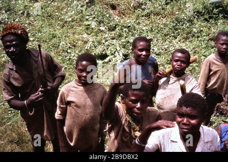 Africa, Zaire. Pygmy village in forest Stock Photo - Alamy