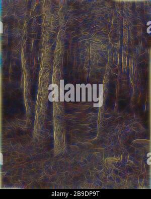 Forest Scene, Rudolf Eickemeyer, Jr. (American, 1862 - 1932), Yonkers ...