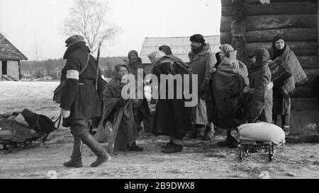 Second World War: Russian partisans in occupied Soviet Union Stock ...
