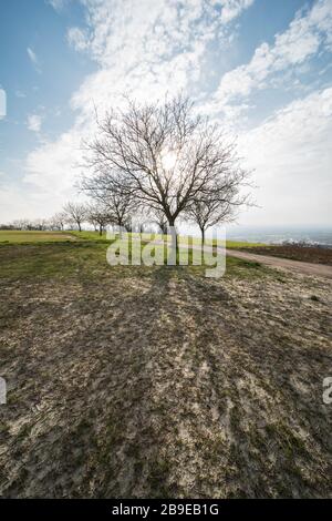 nature landscape in southern germany Stock Photo - Alamy