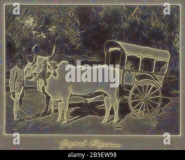 Gazerat Shigram, India, 1886 - 1889, Albumen silver print. Reimagined ...