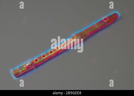 Piccolo Flute, Piccolo of palm wood with a flap. Lower part, middle ...