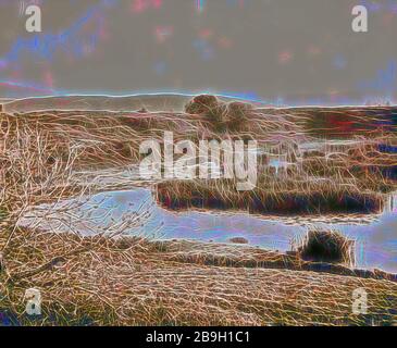 Ephesus. 1950, Turkey, Ephesus (Extinct city Stock Photo - Alamy