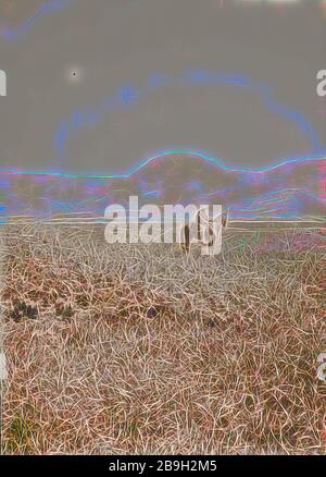 Gamala. Photo shows the site of the ancient Greek city of Susita ...