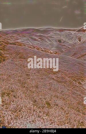 A field of wild pink mustard flowers in Palestine, showcasing the ...