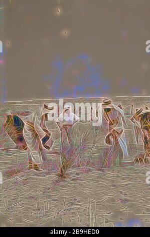 Locust plagues in Palestine. Methods of fighting the locust plague ...