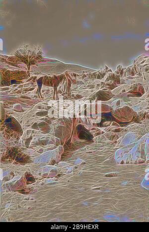 Ain Musa the Spring of Moses Petra Jordan Where moses got water from ...