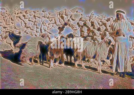 Shepherd leading sheep from sheep fold. Shepherd near Shepherds' Fields ...