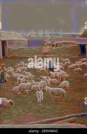 Sheep in the fold. 1900, Middle East, Israel and/or Palestine Stock ...