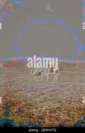 Transporting water on camel 1900, Middle East, Israel and/or Palestine ...