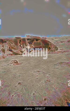 Disabled Tank Gaza 1917 Stock Photo - Alamy