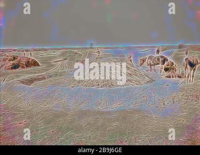 Threshing floor in Syria Stock Photo - Alamy