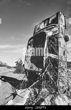 Carhenge in Pollock Park, Glasgow 1994. A collection of rusting cars ...