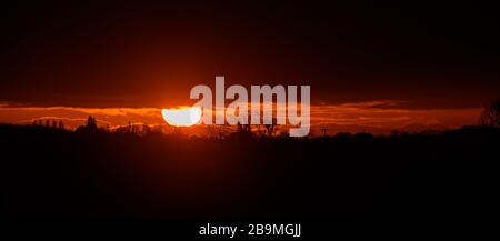 Lunt Meadows nature reserve Stock Photo - Alamy