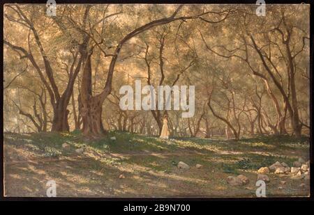 Jeune fille sous les oliviers - Menton circa 1897 by Henry Brokmann ...