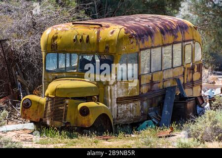 Vintage 1950s school bus Stock Photo: 52869466 - Alamy