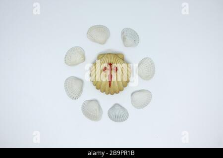 Seashell of St. James with a bloody red cross. Symbol of pilgrims. Road ...