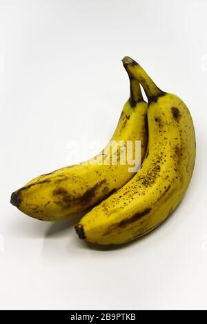 Food waste - Over ripe bananas in a food waste bin at Birmingham ...