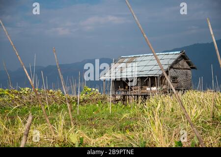 A traditional rural Burmese house with a tin roof, wood construction ...