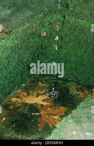 A tap drips into the water trough in the dressing room block at East ...