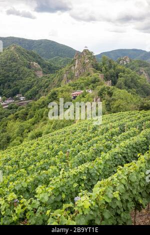 Vineyards of the winegrowing Ahr Valley, known for its red wine ...