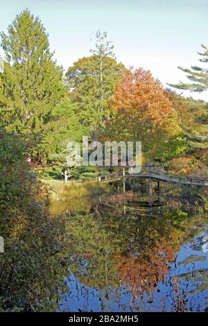 Mytoi Japanese-style gardens, Chappaquiddick, Martha’s Vineyard ...