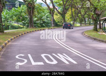 Worded marking SLOW painted to warning signs to slow down on a curving ...