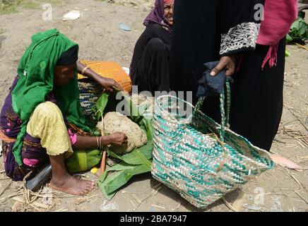 Making of false banana bread-kocho - from the enset plant in a village ...