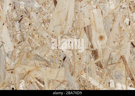 Recycling symbol made of wood. Cross section of a tree trunk with a ...