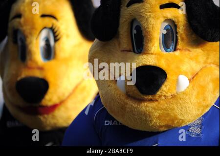 Birmingham City mascot Beau Brummie Stock Photo - Alamy